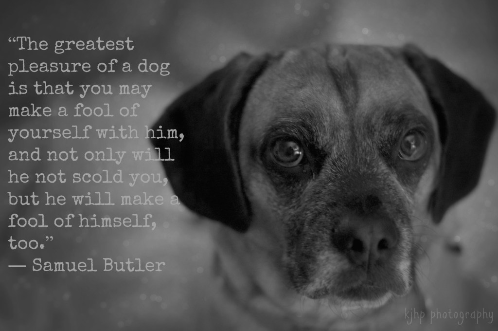 April | 2014 | kjhp photography