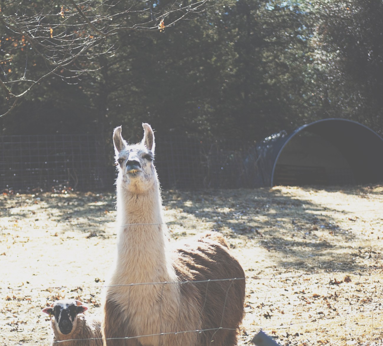 April | 2014 | kjhp photography